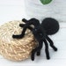 Spider Knitting Pattern: Halloween Toy Tarantula (PDF) - Etsy