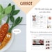 Carrot Knitting PATTERN, Amigurumi Knit Carrot PDF, Easter Table Decor ...
