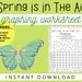 Spring is in the Air Graphing Worksheet - Etsy