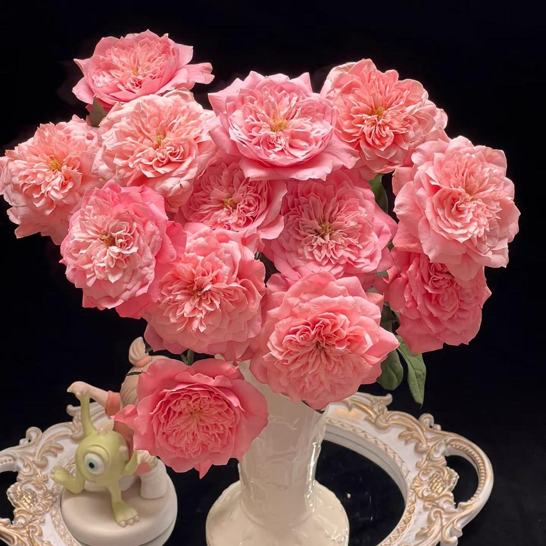 Rose Mikoto US Seller 美琴 - Etsy
