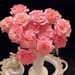 Rose Mikoto US Seller 美琴 1 Gallon - Etsy