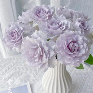 Rose Jise US Seller 霁色 1 Gallon - Etsy