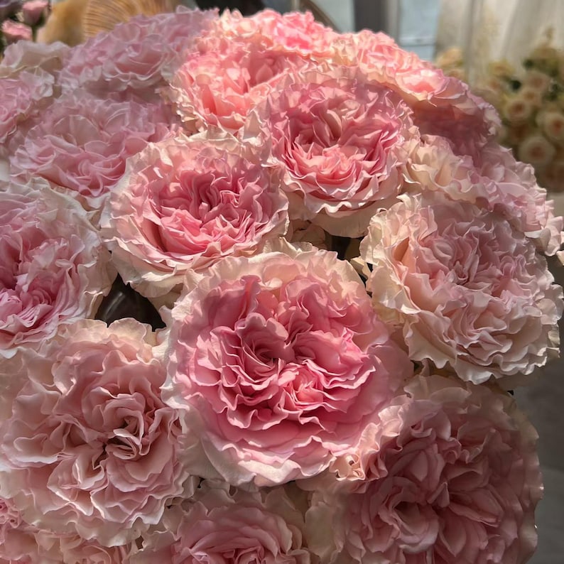 Rose Goddess of the Luo River US Seller 洛神 - Etsy