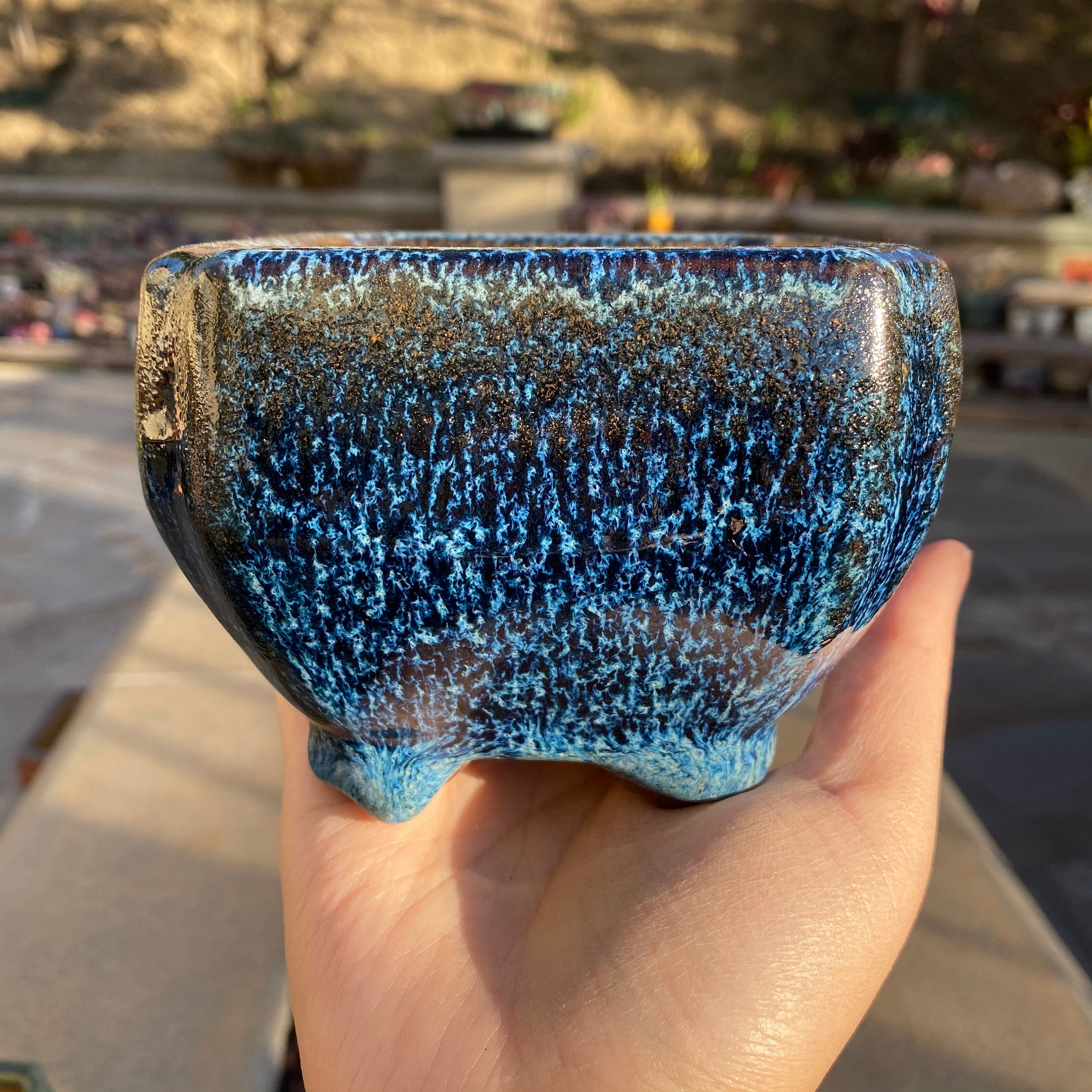 Succulent Ceramic Pots Planter Handmade Etsy