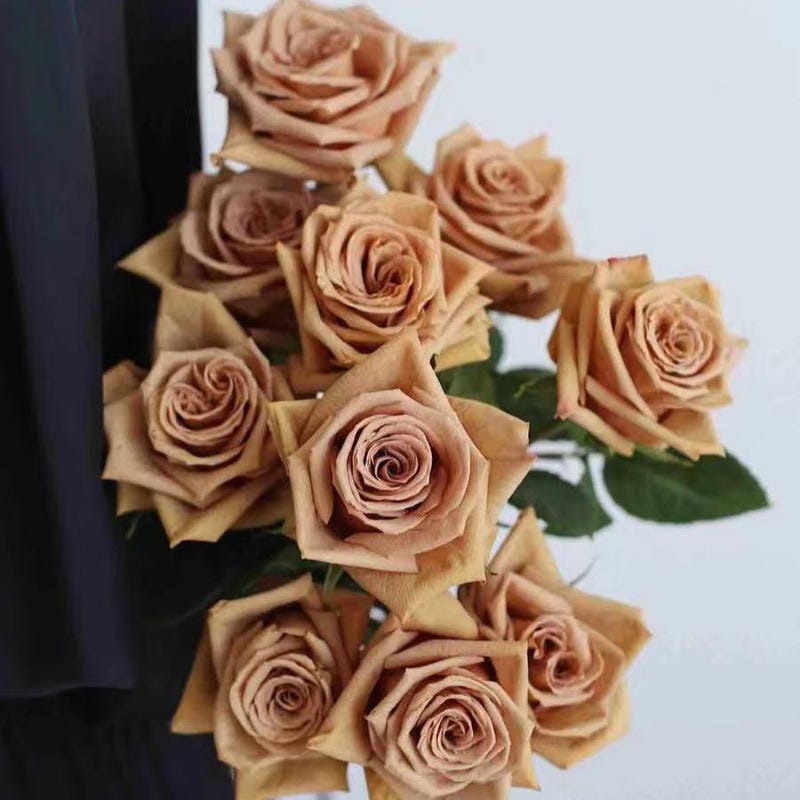 Toffee Rose - Etsy