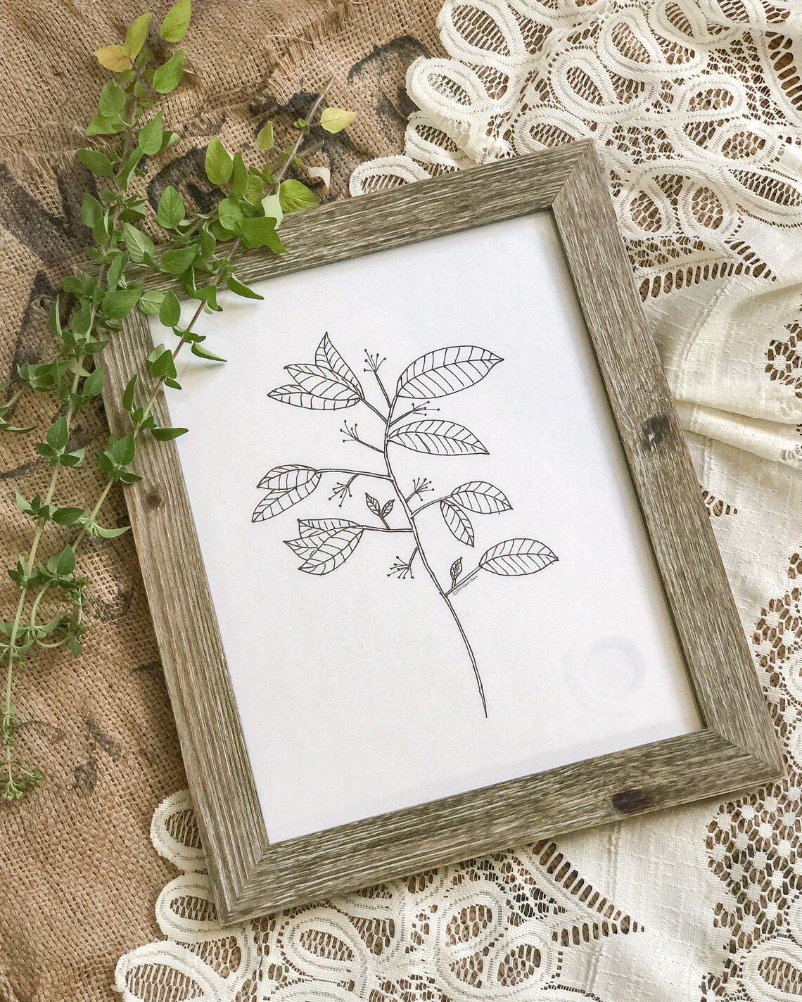Branch Sketches Set of 6 Original Artwork Neutral Gallery - Etsy