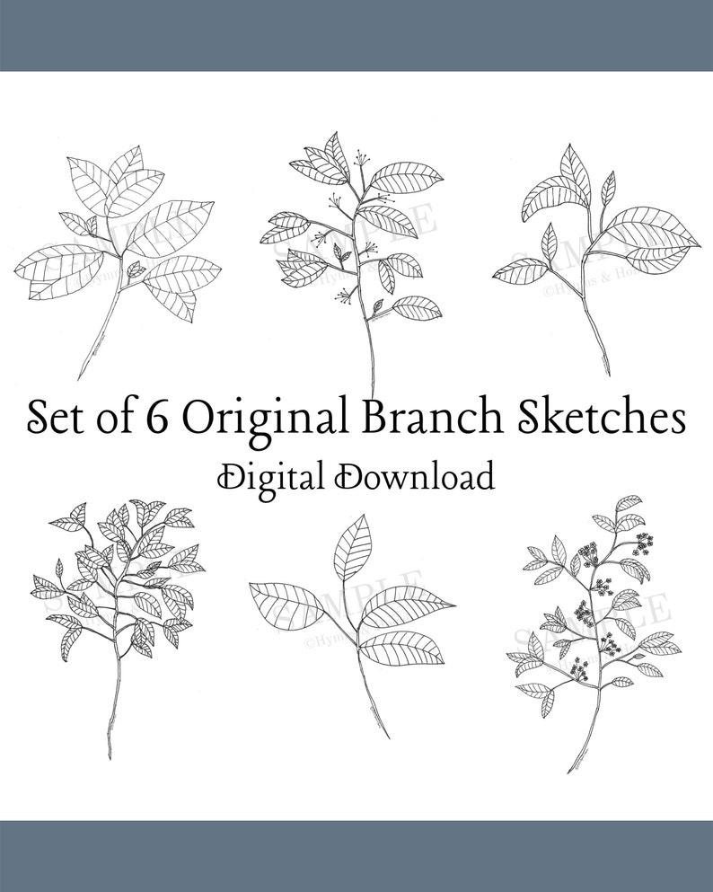 Branch Sketches, Set of 6 | Original Artwork | Neutral Gallery Wall Art ...