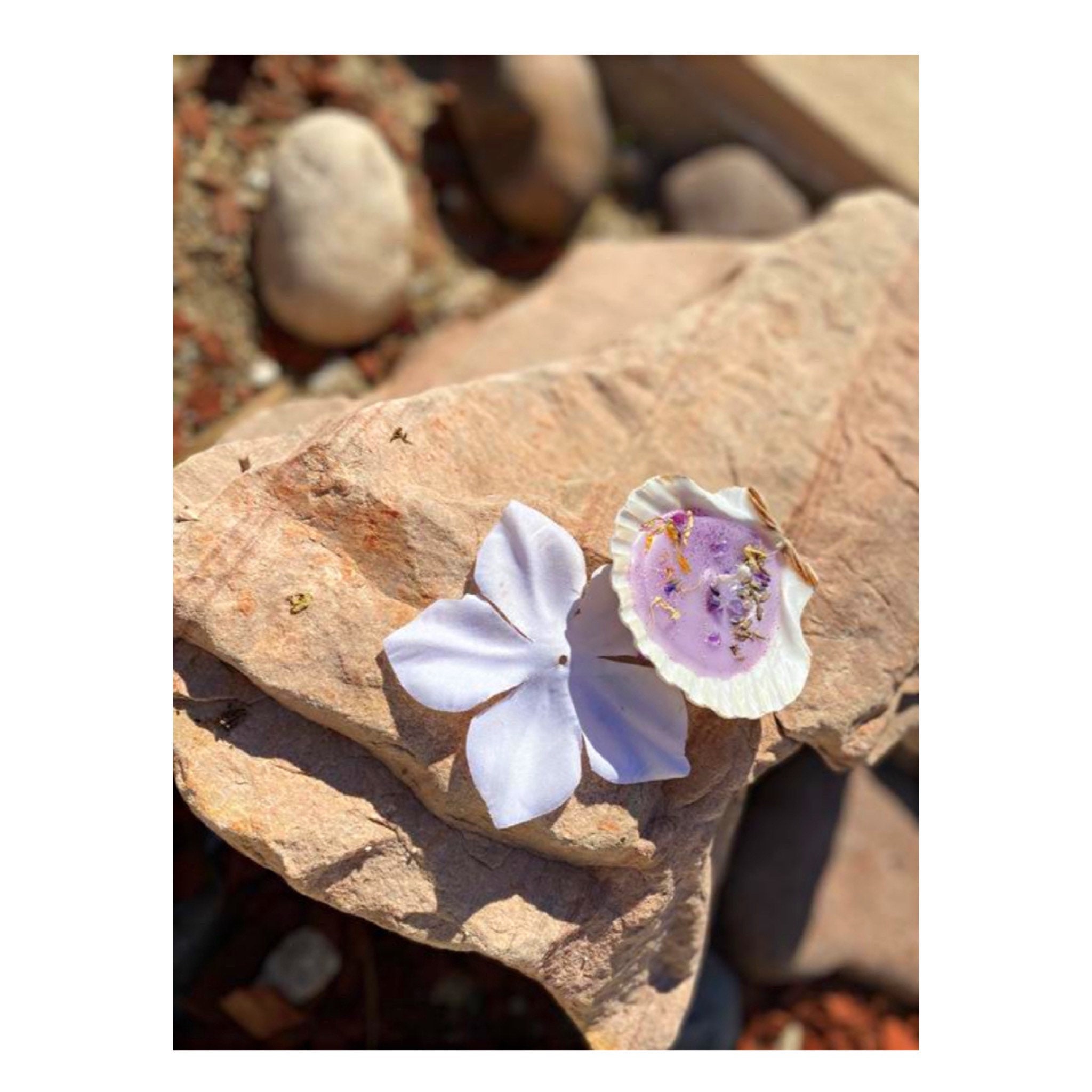 Seashell Scented Candles/ Weddings / Home Decor/ Bathroom | Etsy