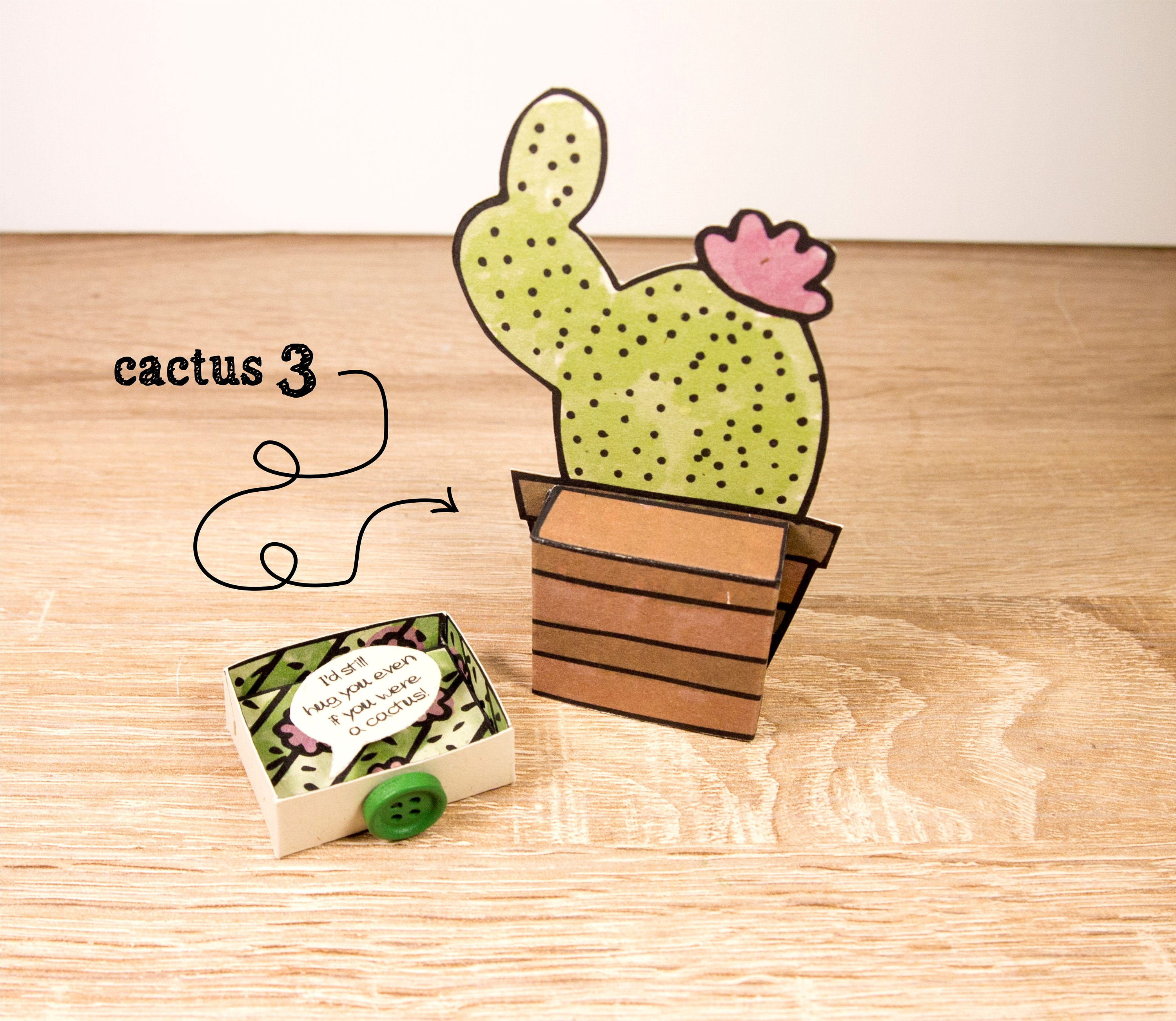 Cactus 3D Greeting Card Box 3D Birthday Card Cactus Card - Etsy