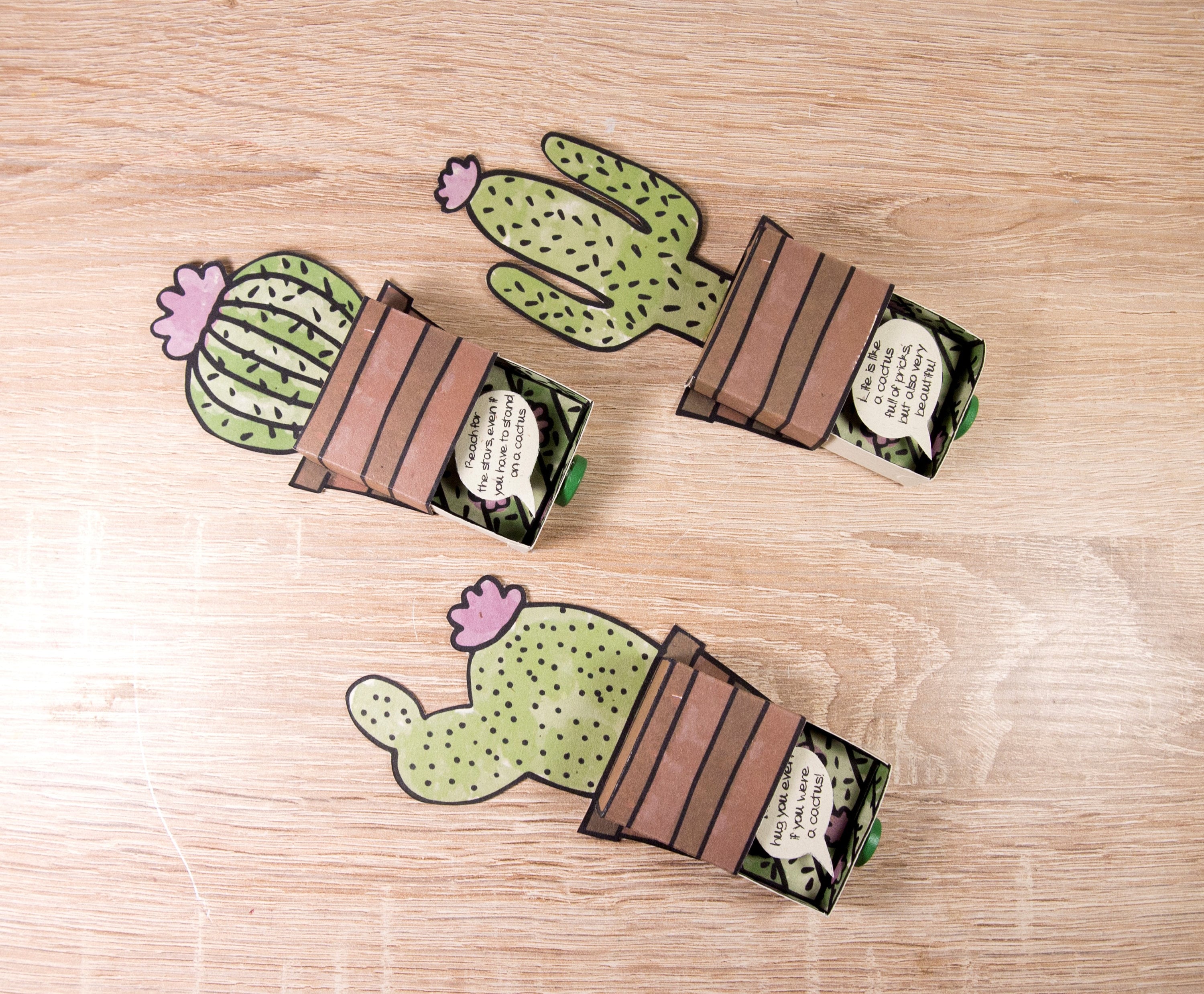 Cactus 3D Greeting Card Box 3D Birthday Card Cactus Card - Etsy