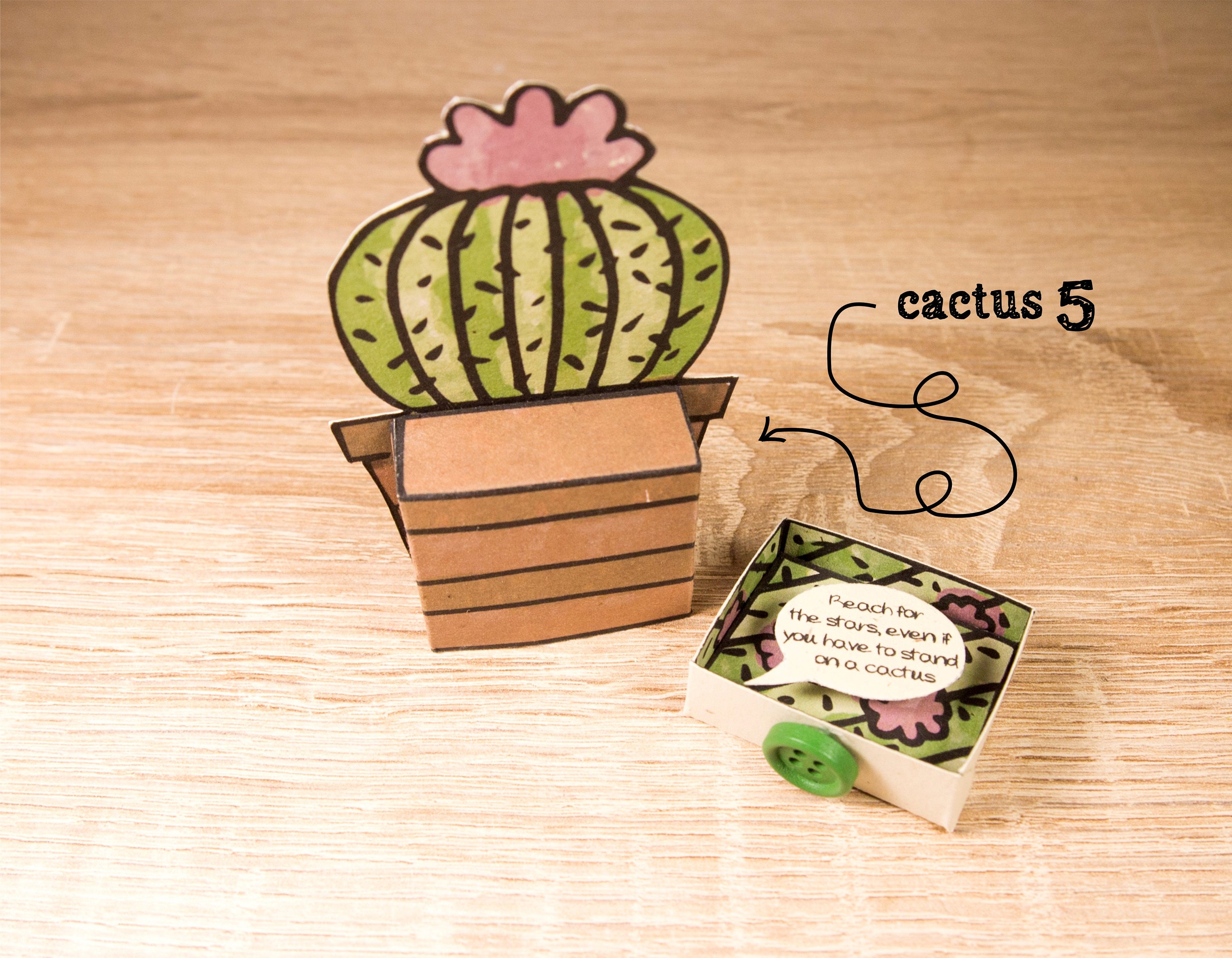 Cactus 3D Greeting Card Box 3D Birthday Card Cactus Card - Etsy