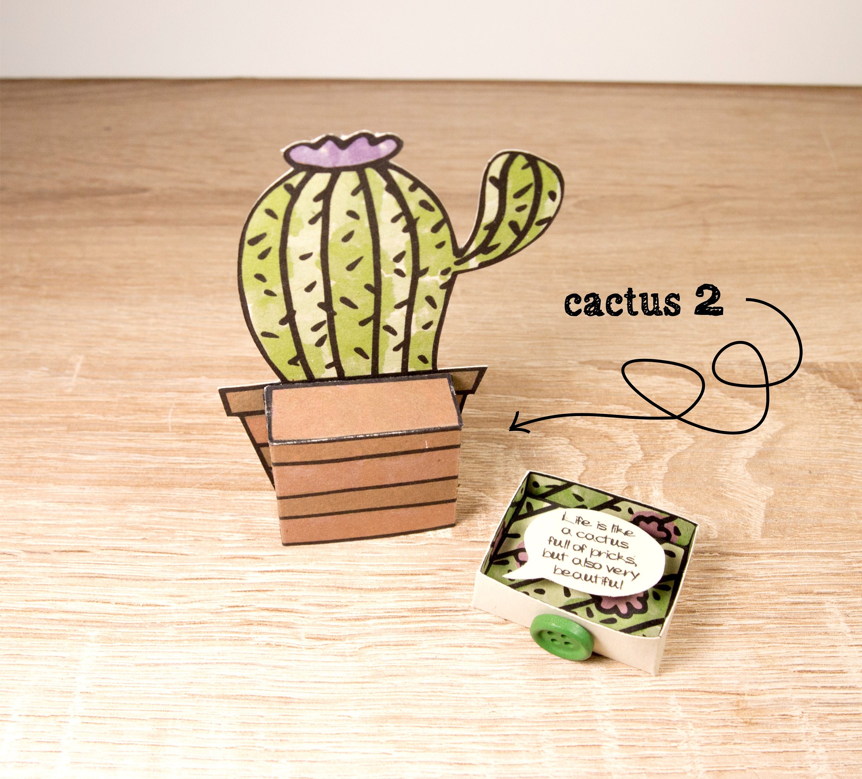 Cactus 3D Greeting Card Box 3D Birthday Card Cactus Card - Etsy