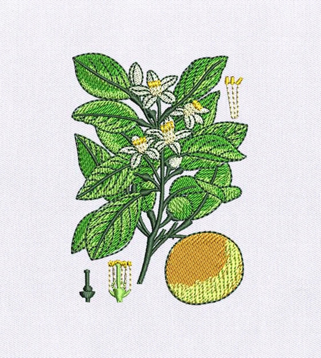 Clementine Machine Embroidery Design |orange Plant Embroidery Design ...