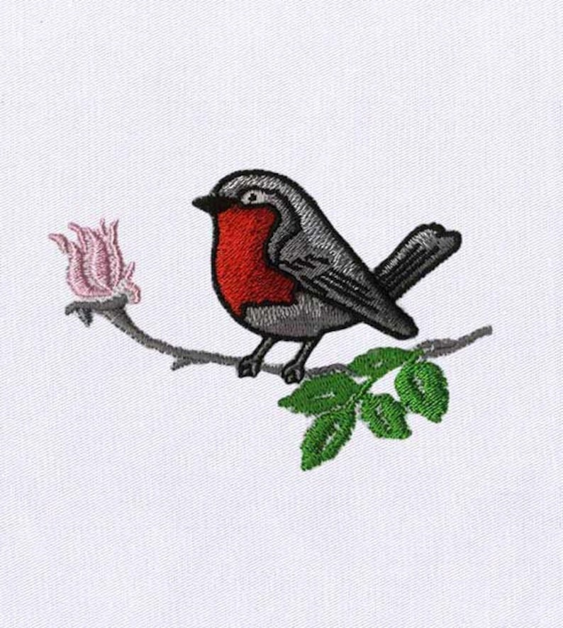 Cute Robin Bird Machine Embroidery Design bird Embroidery - Etsy