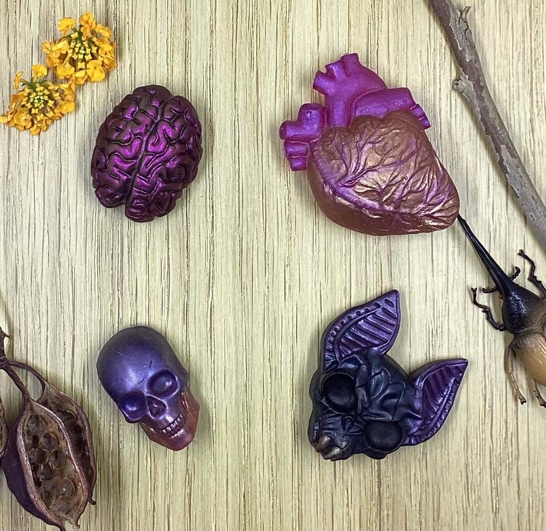 Set of 4 Halloween Magnets, Human Skull, Bats, Anatomical Heart, Brain ...
