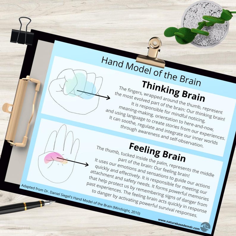 EMDR Psychoeducational Visual Resources - Explain Trauma Responses and ...