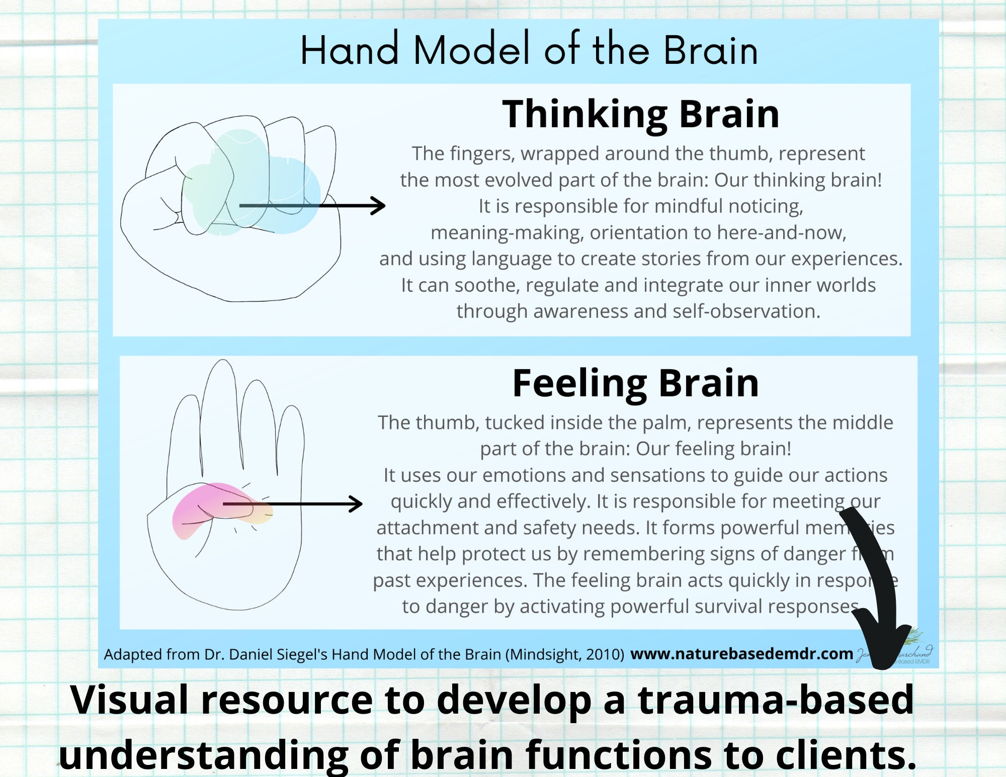 Hand and Gesture-based Resource to Explain Trauma Responses and ...