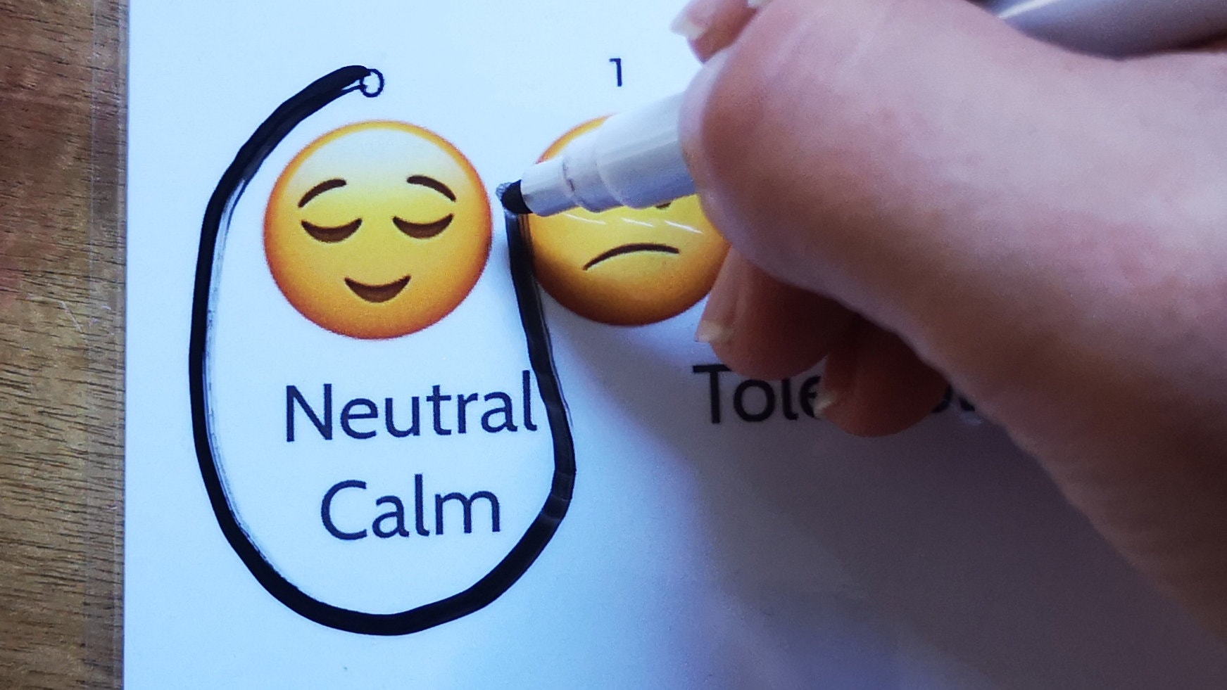 Emoji SUD Scale - EMDR Visual Resource (high Definition, Letter Size ...