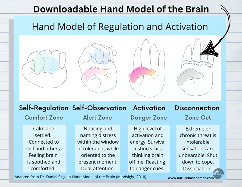 EMDR Psychoeducational Visual Resources - Explain Trauma Responses and ...