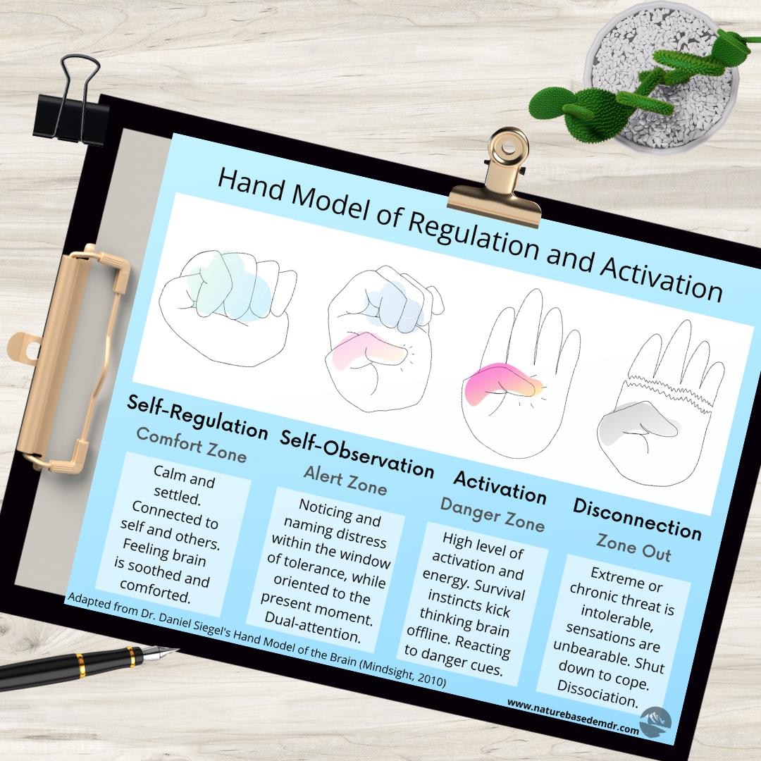 EMDR Psychoeducational Visual Resources - Explain Trauma Responses and ...