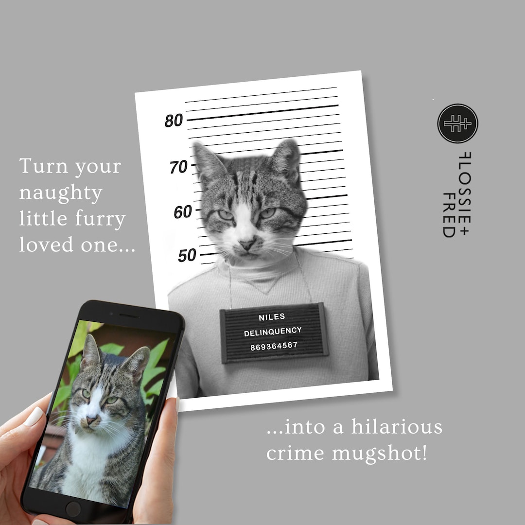Personalised Cat Mugshot Art Print Personalised Dog Portrait Funny Pet ...
