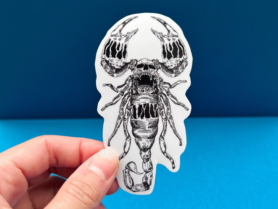 Scorpio Vinyl Sticker Zodiac Stickers | Etsy