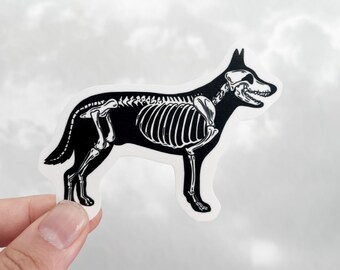 Dog Bone Vinyl Decal Sticker - Etsy