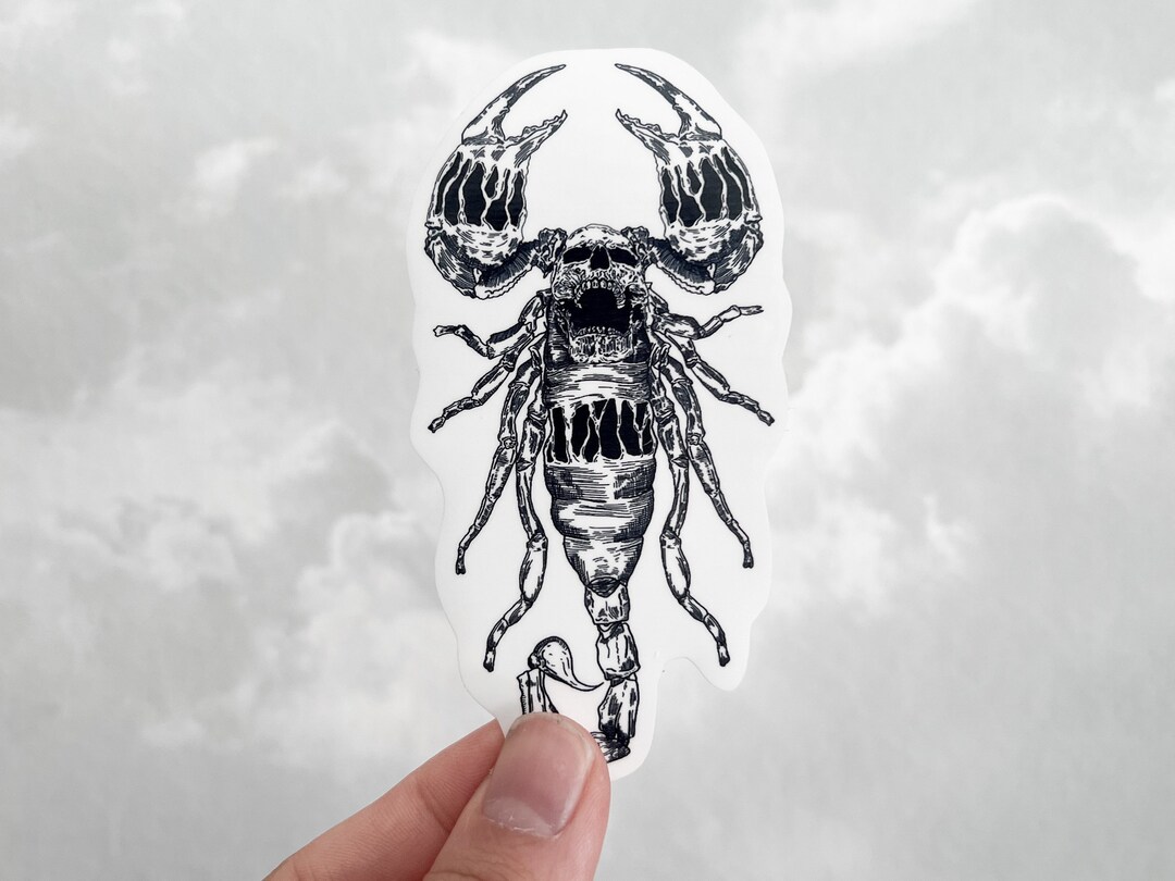Scorpio Vinyl Sticker Zodiac Stickers - Etsy