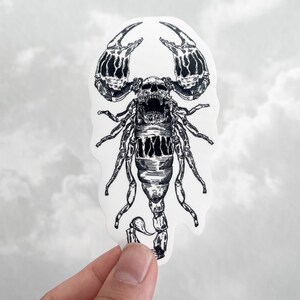 Scorpio Vinyl Sticker Zodiac Stickers - Etsy