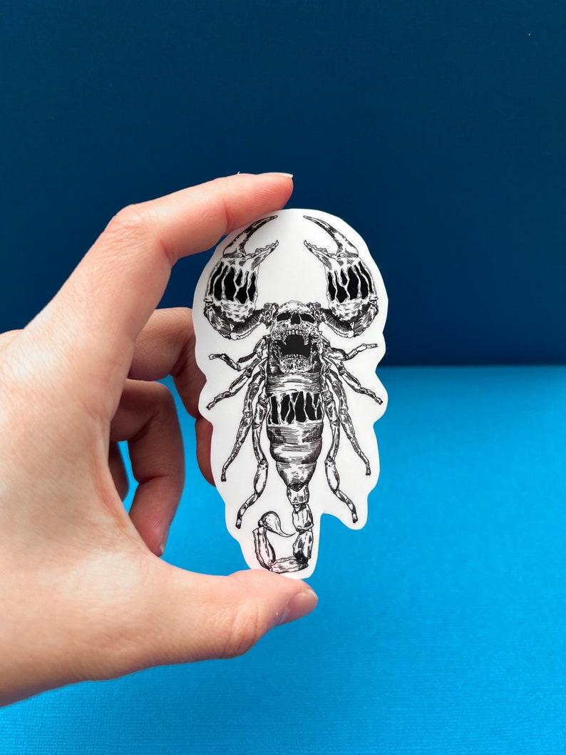 Scorpio Vinyl Sticker Zodiac Stickers | Etsy