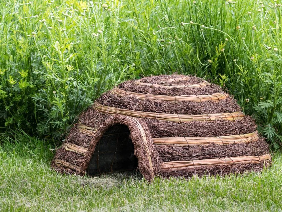 Hedgehog House | Etsy