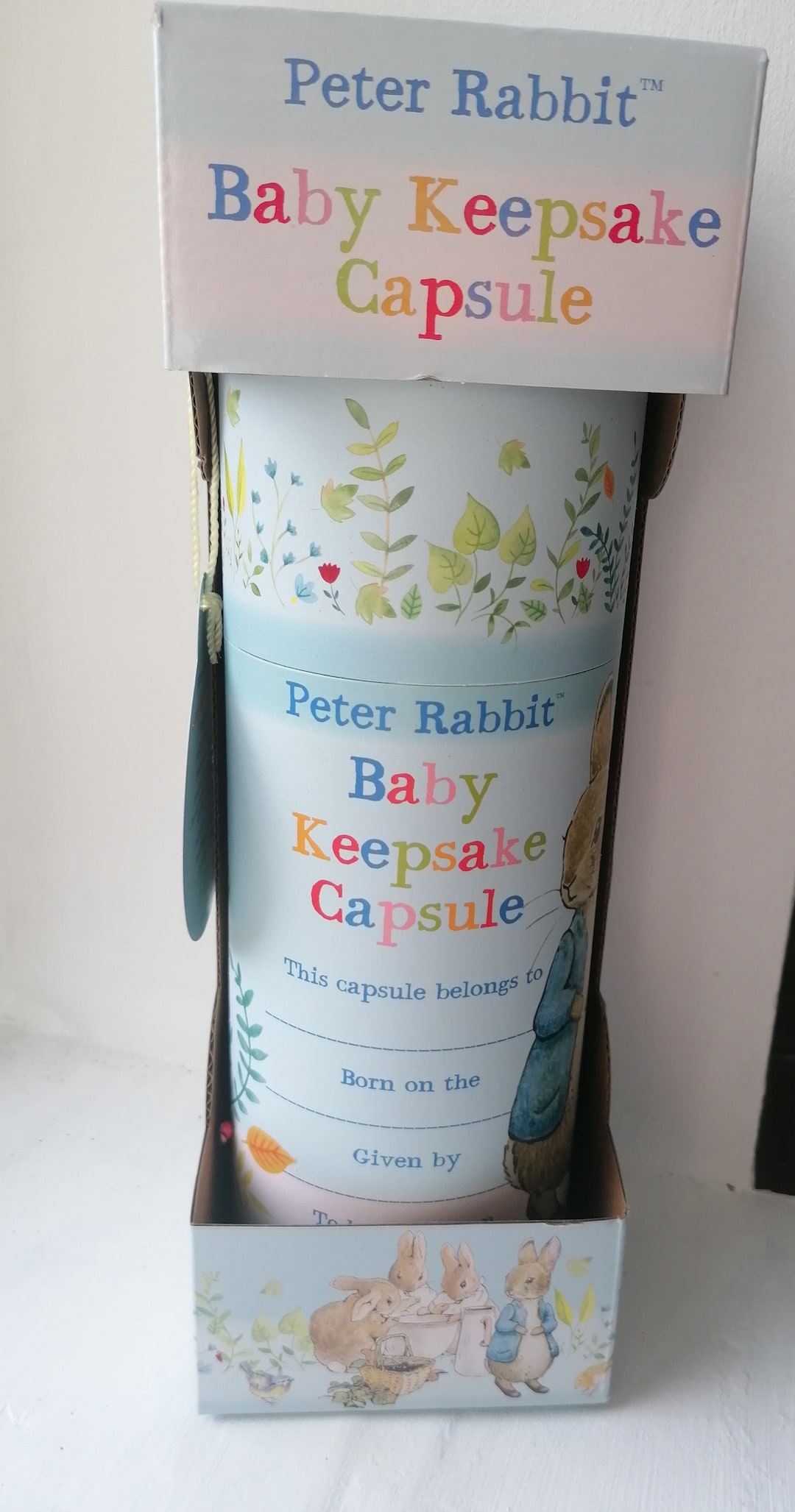 Peter Rabbit Cute Adorable Time Capsule - Etsy