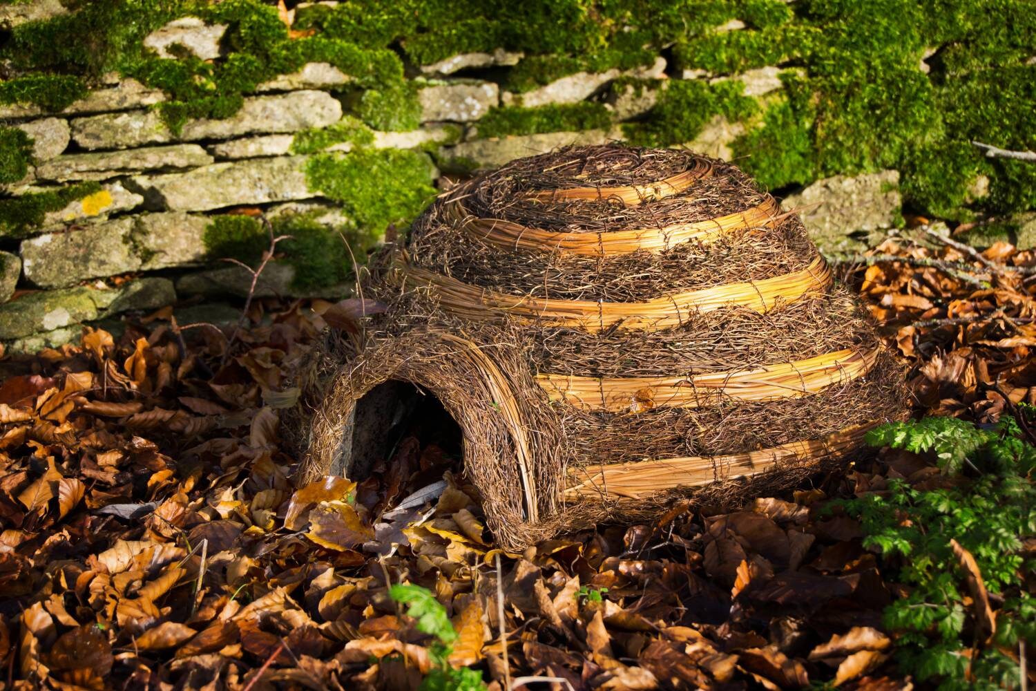 Hedgehog House | Etsy