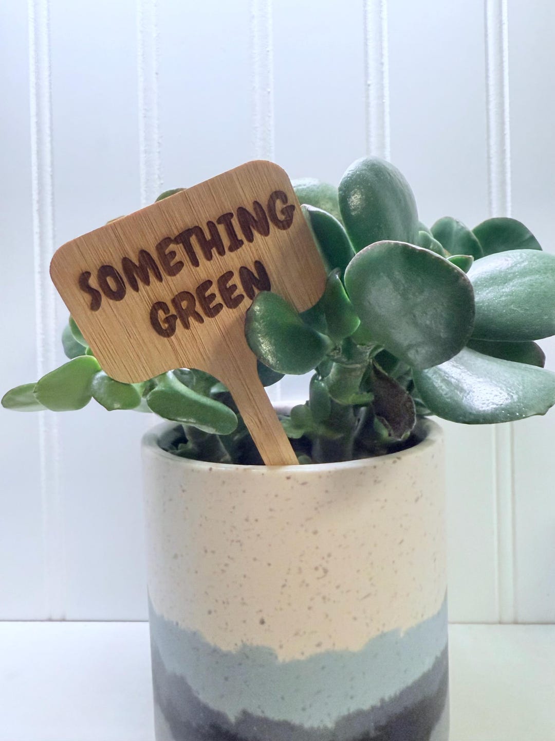 Funny Plant Labels – Set of 10 | Laser Engraved Bamboo | Garden Markers ...