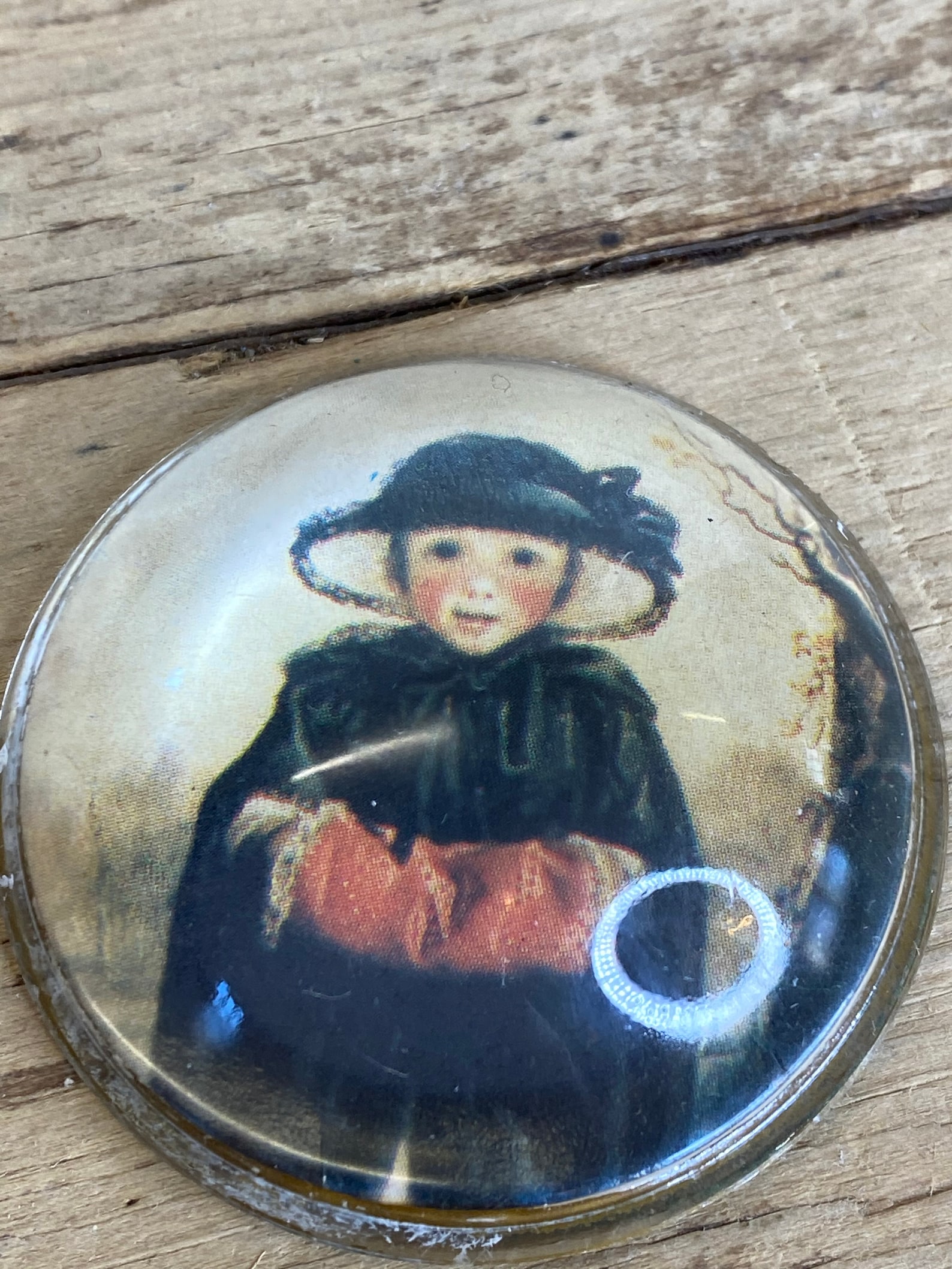 Vintage Nigel Pain Paperweight Domed Resin With Picture of - Etsy