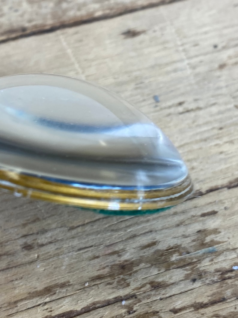 Vintage Nigel Pain Paperweight Domed Resin With Picture of - Etsy