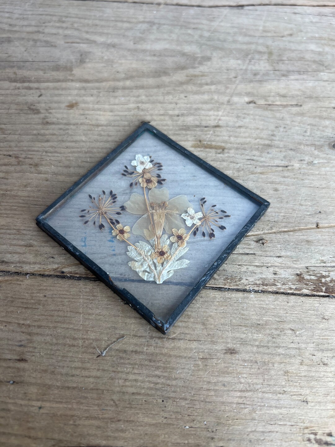 Vintage Pressed Flower Oin a Small Square Metal Edged Picture Frame ...