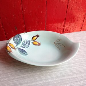 Vintage Pale Blue Hazelnut Carlton Ware Australian Design Bowl / Dish ...