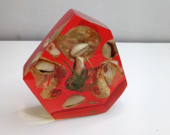 Sea Life Paperweight - Etsy