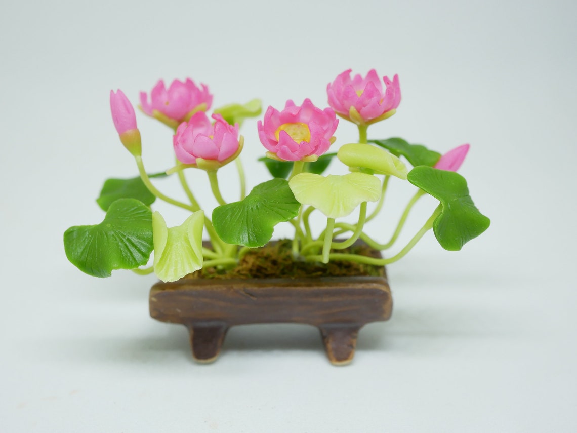 1 Lotus Flower Clay in Timber Ceramic Pot Miniature Dollhouse - Etsy