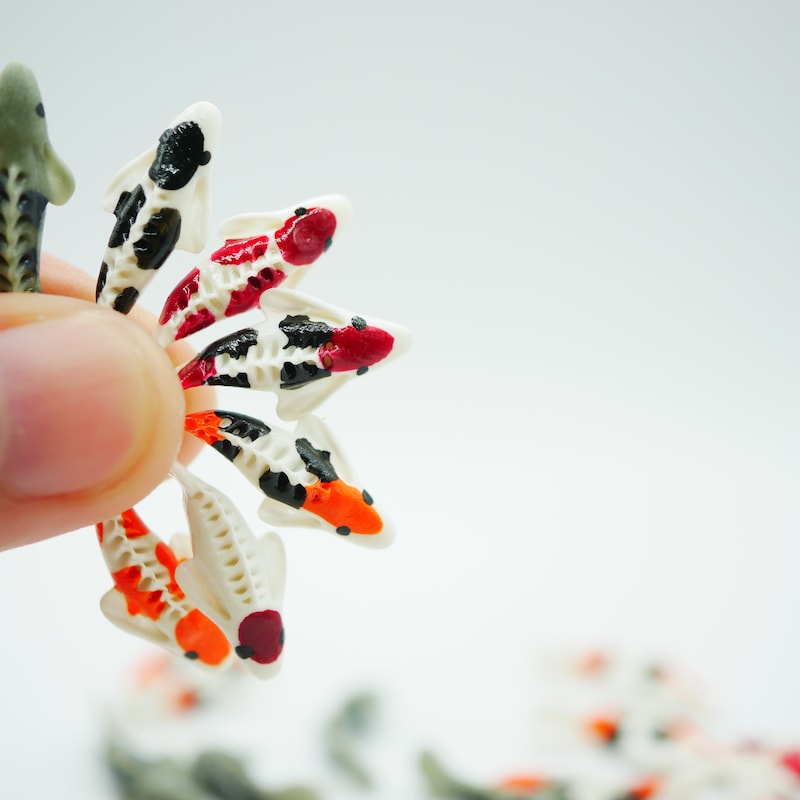 Miniature Koi - Etsy