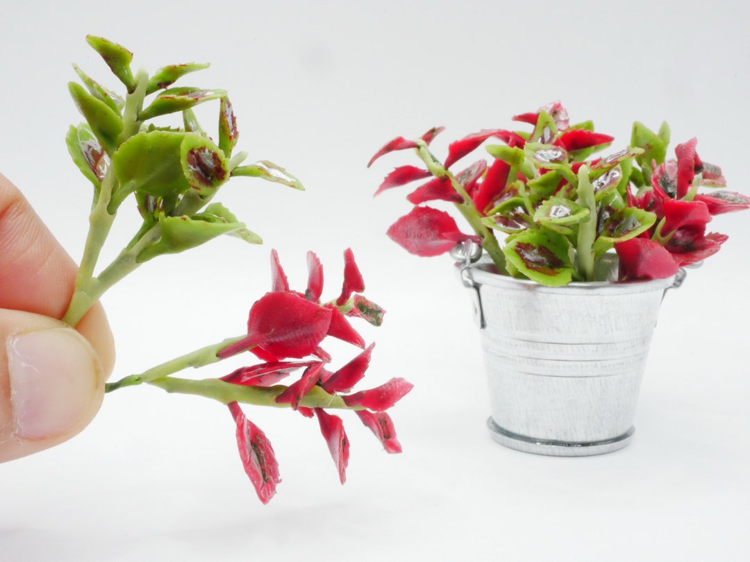 Miniature Clay Coleus Plant: Dollhouse Painted Nettle (1/12) - Etsy