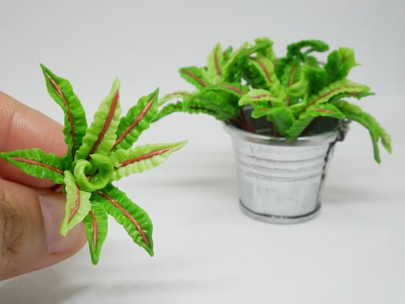 1 Pc Miniature Bird's Nest Fern Clay Miniature Dollhouse - Etsy