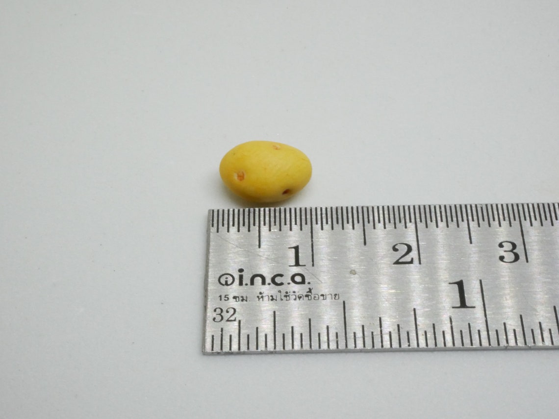 10 Pcs Miniature Potato Vegetable Clay Dollhouse Handmade - Etsy