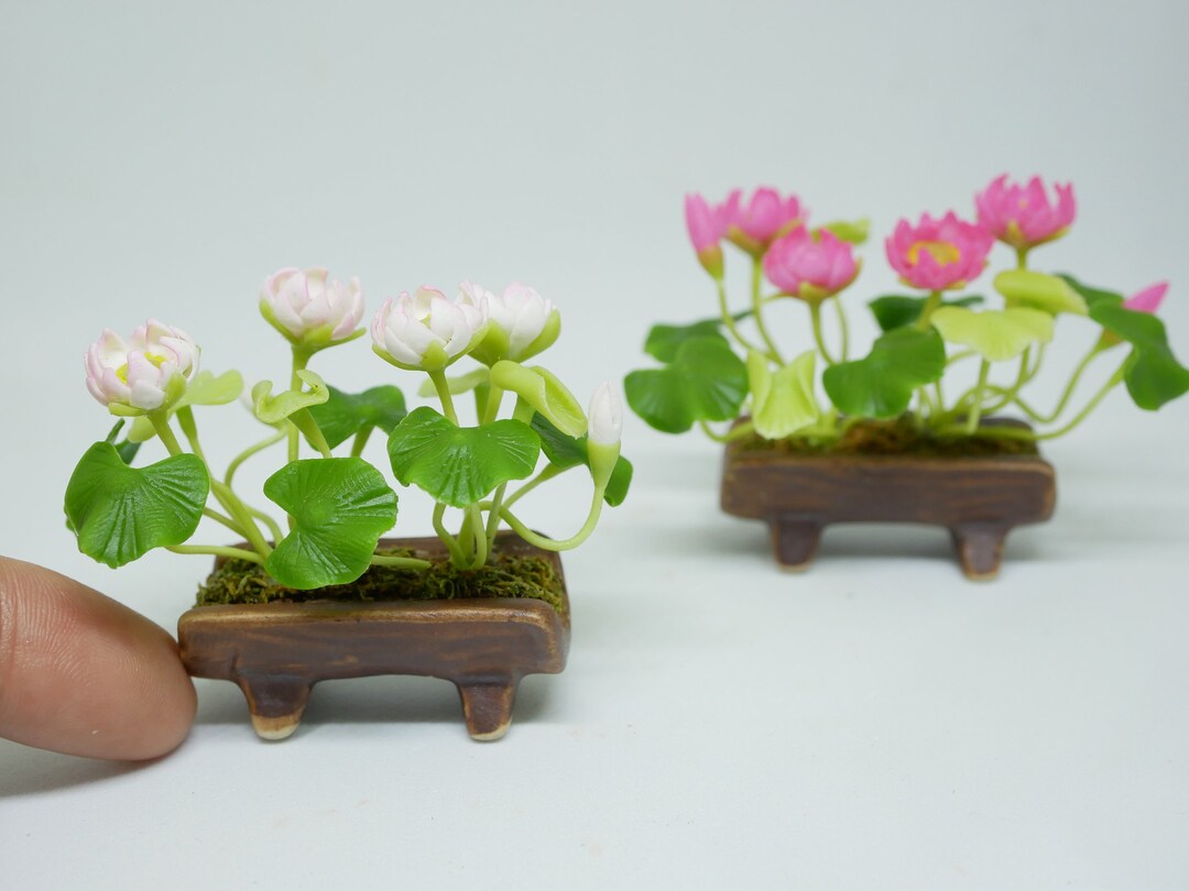 1* Lotus Flower Clay in Timber Ceramic Pot Miniature Dollhouse Handmade ...