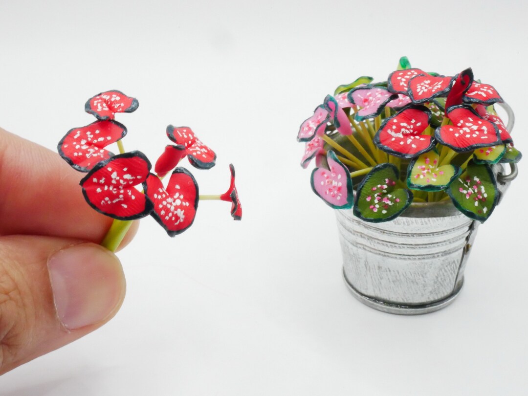 1 Pc Miniature Caladium Bicolor (SS) Plant Clay Dollhouse Handmade ...