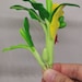 1 Pc Miniature Banana Tree (10 CM) Plant Clay Dollhouse Handmade Decor ...