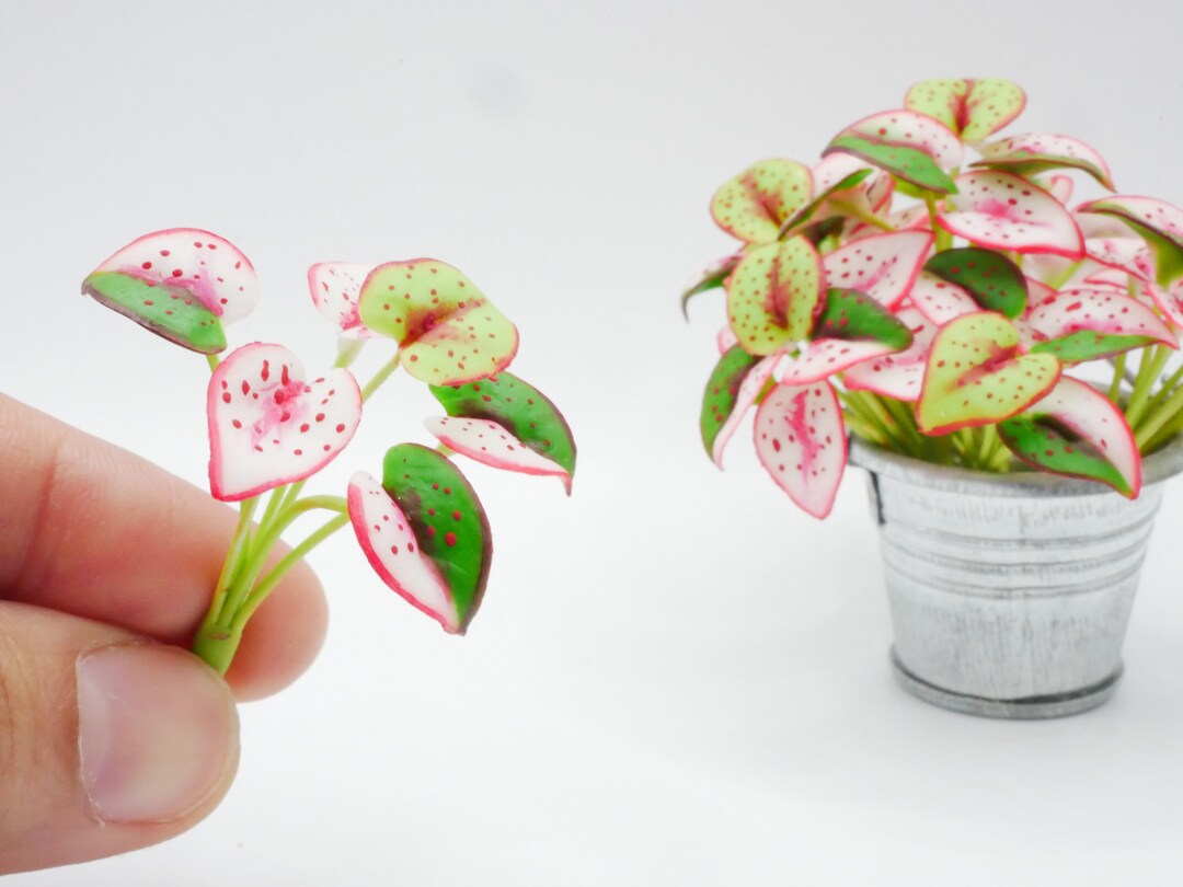 1 Pc Miniature Caladium (type B) Plant Clay Dollhouse Handmade ...