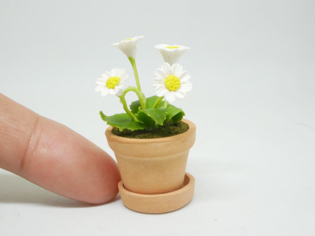 Daisy Flower Clay in Terracotta Pot Miniature Dollhouse Handmade 1/12 ...