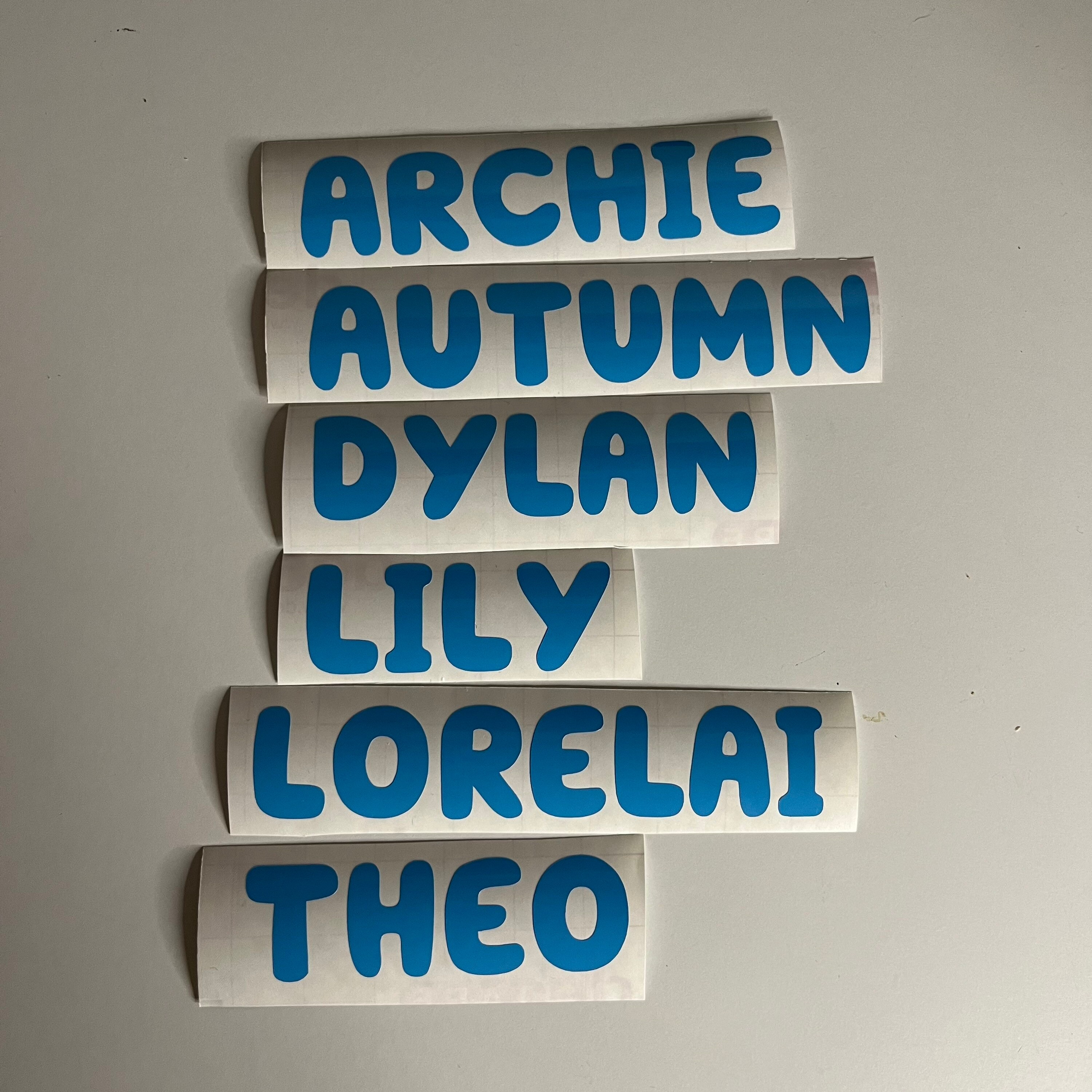 Bluey Name Vinyls Personalised Name Stickers - Etsy